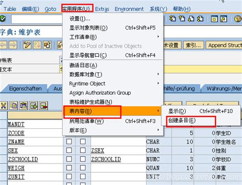 abap 创建透明表条目 abap se16 display column csdn博客