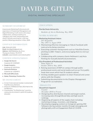 David Gitlin Resume PDF
