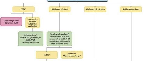 Renal Lesion Sphp Radiology Protocols