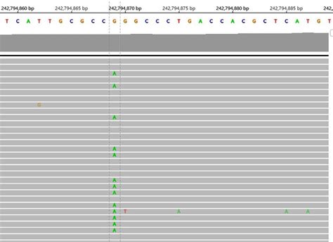 integrative genomics viewer igv screenshots displaying the chimeric