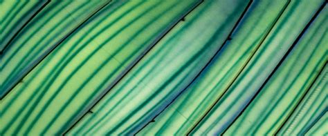 Ediscovery Hold What Is It And Why Is It Important In Litigation