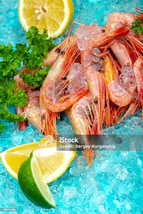 머리가 없는 붉은 신선한 새우 랑구스틴 얼음 푸른 바다 배경 체리 레몬과 라임 조각이 둥근 슬라이스 신선한 허브 빛 상단 측면