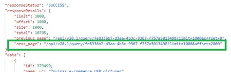 How To Loop Api Call And Collect All Paginated Results Into 1 Json File