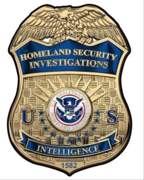 Homeland Security Intelligence Special Agent Bad All Metal Sign 17