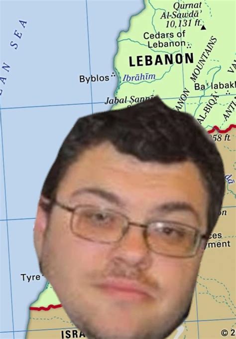 Leb Nin R Fanshansenvspredator