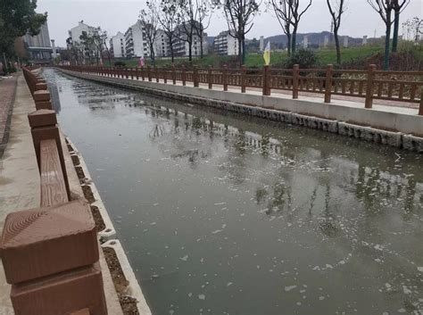 业界振奋EHBR膜强化耦合生物膜开发成功视频 组件