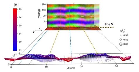 A New Measurement Technique For 3d Orientation Imaging Of Polymer Chains Blog Quantum Design