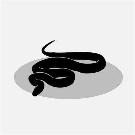 Premium Vector Snake Vector Png