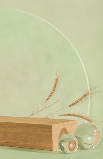 아침 빛이 있는 제품 프레젠테이션 연단을 위한 모형 나무 연단 3d 모델 및 그림 0명에 대한 스톡 사진 및 기타 이미지 0명 3차원 형태 강단 Istock