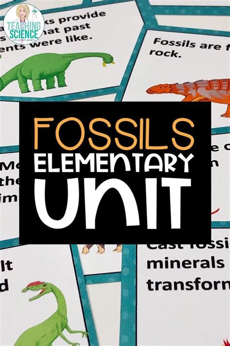 Fossils Evidence Of Earth S History Rd Grade Science Unit Artofit