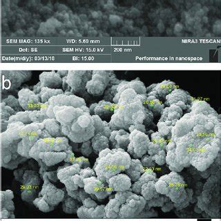 SEM Images Of A Fe 3 O 4 SiO 2 NPs B Fe 3 O 4 SiO 2 Download Scientific Diagram