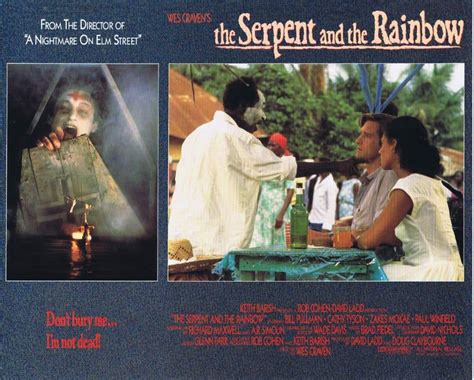 The Serpent And The Rainbow Original Lobby Card 2 Wes Craven Bill