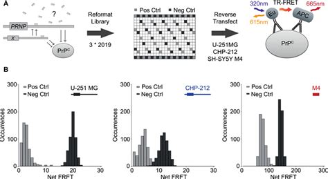 Design Of Screening Strategy And Quality Controlsa Screening Workflow