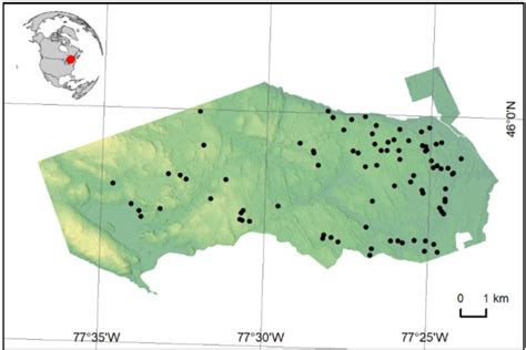Figure 1 From Forest Inventory And Diversity Attribute Modelling Using Structural And Intensity