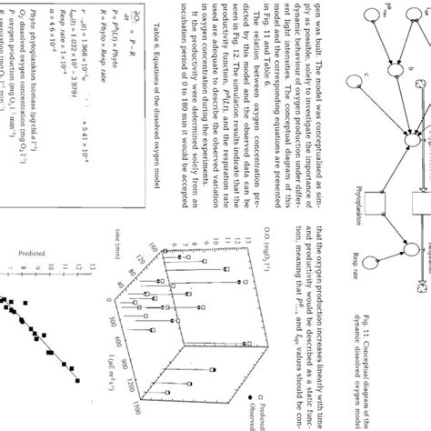Predicted And Observed Values Of Dissolved Oxygen D 0 I Concentration Download Scientific
