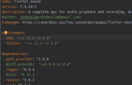 Enh Null Safety Issue Canardoux Flutter Sound Github