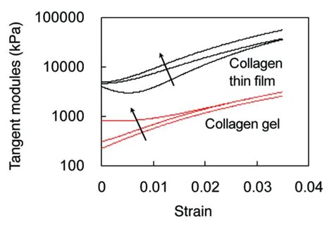 Averaged Tangent Moduli Obtained From Biaxial Tensile Tests Of Collagen Download Scientific