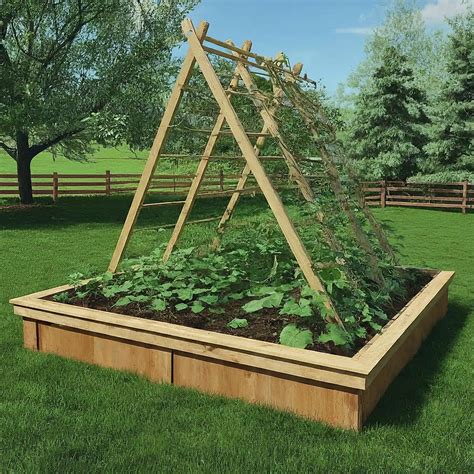 Building A Raised Garden Bed With A Trellis A Beginners Guide All For One