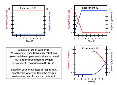 Solved Experiment 1 Experiment 2 10 10 10 10 0 0 0 0 1 2 3 Chegg Com
