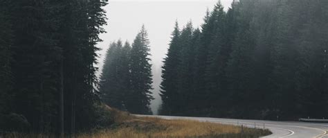 Enhanced Switch Statement In Java Dev Community