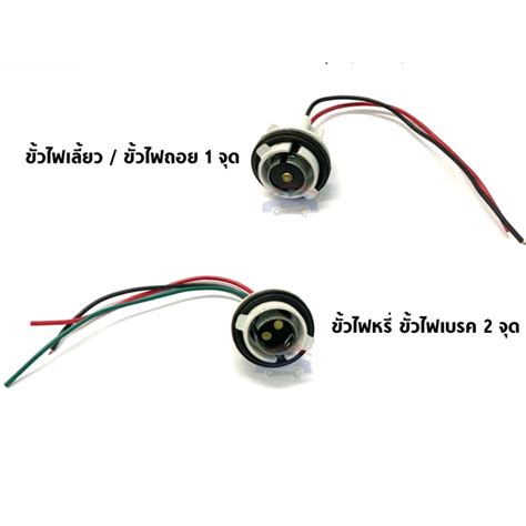 ขั้วหลอดไฟ เขี้ยว 1 จุด 2 จุด ขั้วไฟ 2 จุด ขั้วหลอดไฟรถยนต์ 2 จุด หุ้มพลาสติก Bk Araiyon