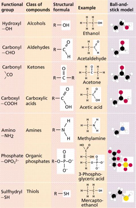 เรียนชีววิทยา กับครูกศนต์ ภารยาท 2017