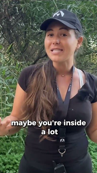 Who Should Use E Collar Part 2 Youtube