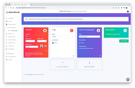 Image Classification Machine Learning Systems
