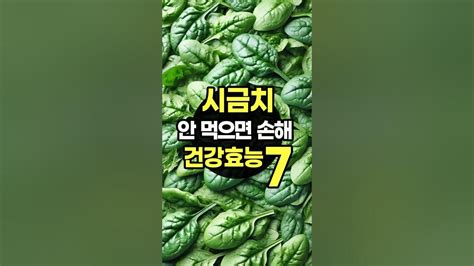 시금치 먹으면 몸이 달라진다 시금치의 건강효능 7가지 Youtube