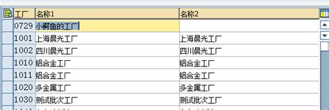 sap组织结构介绍 业务范围和功能范围 rox要学sap的博客 csdn博客
