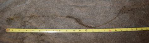 For The Ladies 1 Cum Shots Page 5 Freeones Forum The Free Munity