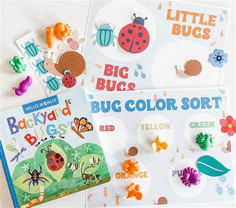 Bug Sorting Colors And Sizes Activity Book