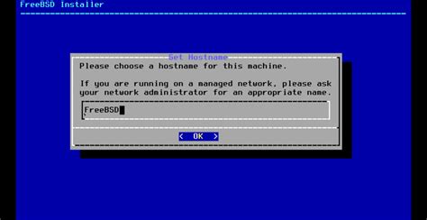 Freebsd基本系统安装 桌面环境配置 中文输入法设置：上 哔哩哔哩