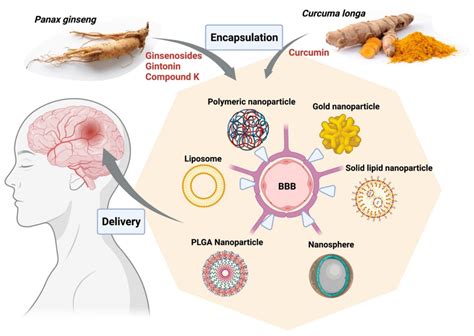 Encapsulation Of Bioactive Compounds From Various Herbal Extracts With Download Scientific