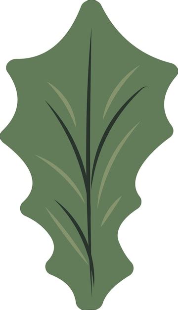 Premium Vector Tree Leaf Icon