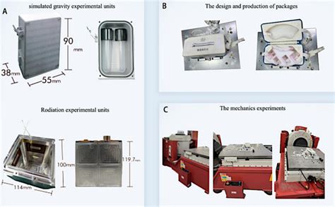 China Exoplanet Habitability And Ecosystem Space Experiment Astrobiology
