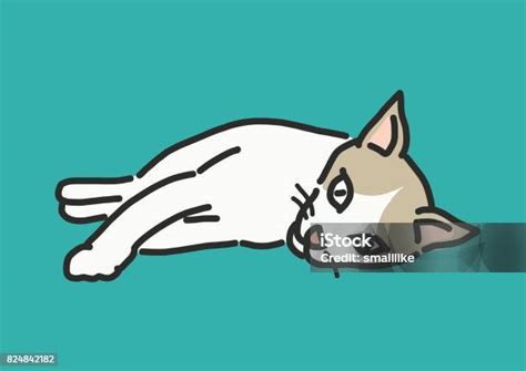 귀여운 고양이 만화 핸드 그린입니다 선 도면입니다 벡터 일러스트 레이 션 가축에 대한 스톡 벡터 아트 및 기타 이미지 가축