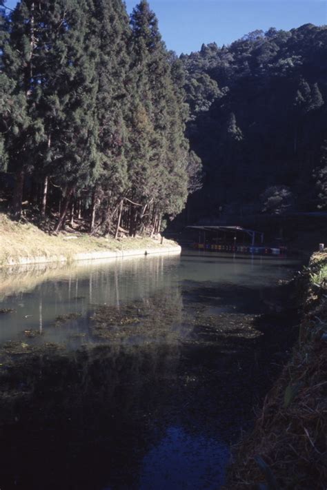 阿里山森林遊樂區 柯金源 數位島嶼