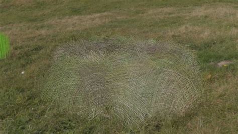 Particle Grass Texture Cgtrader