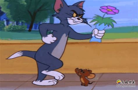 经典动画片《猫和老鼠》见证一代又一代人成长：堪称是永不褪色的回忆 新闻资讯 高贝娱乐