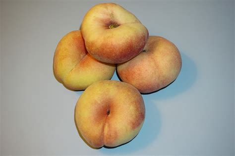 Raju Reddy Fotografie Kostenloses Foto Auf Pixabay Pixabay