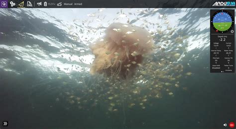 bluerov2 affordable and capable underwater rov