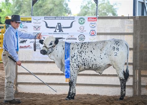 2022 National Show Results Texas Longhorns Australia Inc