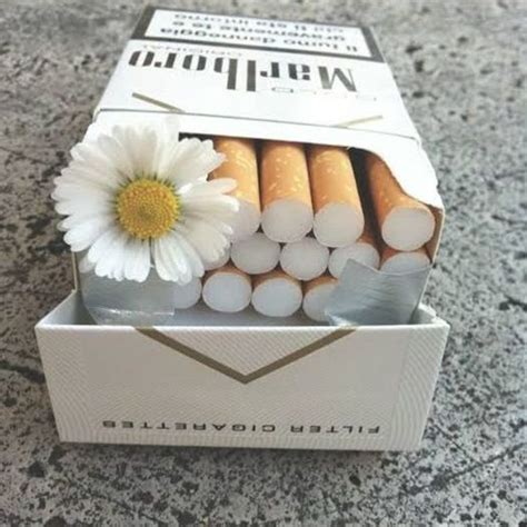 Stream ابن الملك واحد يوحد ربنا اسلام كابونجا By Ahmed Shawky