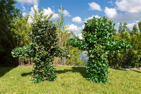 Keep Stilt Walking Tropical Petal Walkers Tree Nymphs Tree Nymphs Human Trees