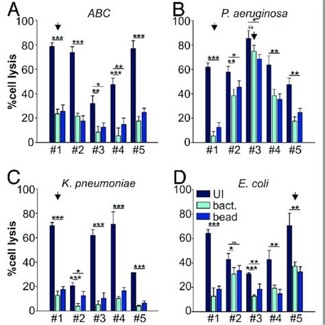 Details Of Isolation Genotyping And Phenotypic Characterization Of