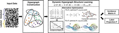 4 The Framework Of Dynamic Hypergraph Structure Learning Method This Download Scientific