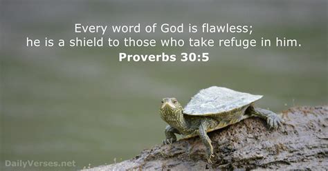 Proverbs 30 5 Bible Verse