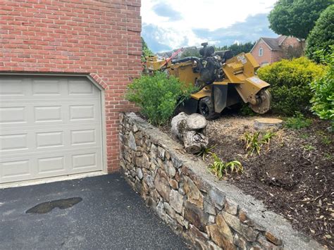 A Few Photos Of Recent Stump Removal Jobs The Right Size Machine Makes