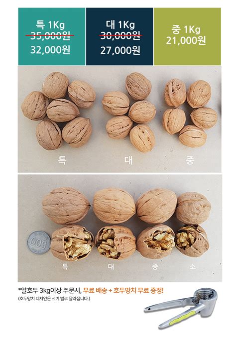 봉화 알꽉찬호두 햇호두 알호두 특 1kg 견과류 사이소